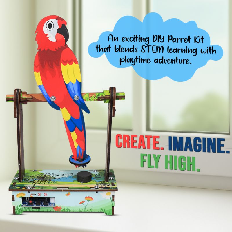 Buy DIY Copy Cat Parrot Educational Kit Online