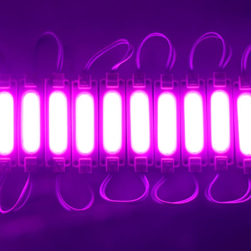 Buy 12V 2W Bright Pink Color Waterproof LED Modules Pack of 100pcs