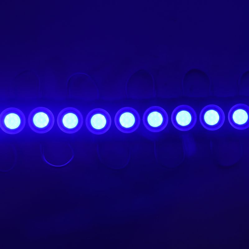 Buy 12V 2.4W Bright Blue Color Waterproof LED module pack of 50pcs