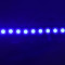 Buy 12V 2.4W Bright Blue Color Waterproof LED module pack of 50pcs