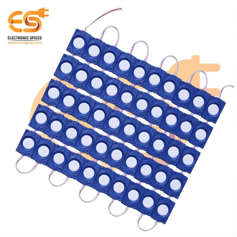 Buy 12V 2.4W Bright Blue Color Waterproof LED Modules pack of 100pcs