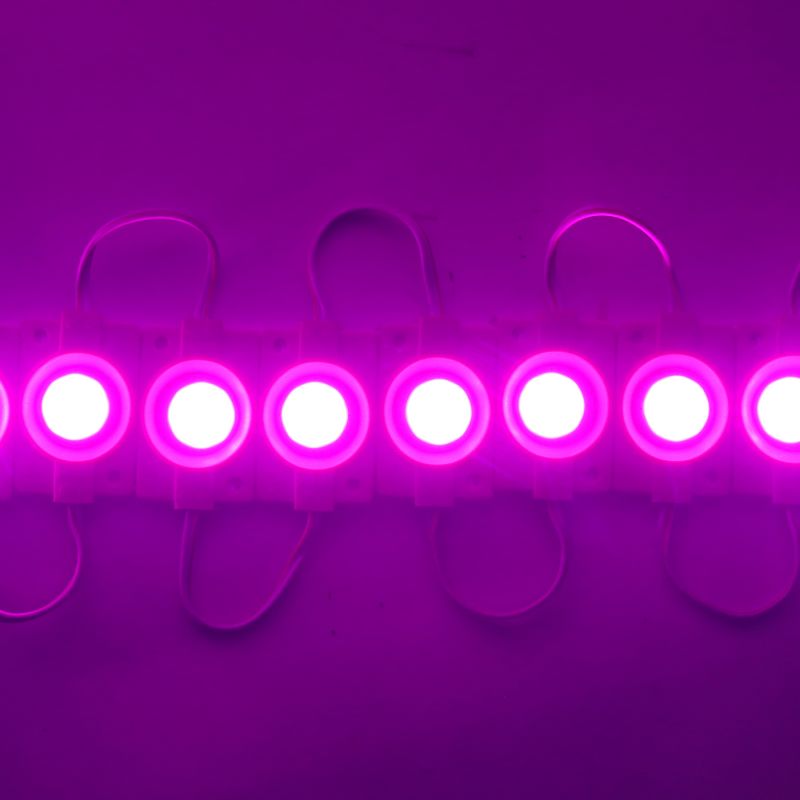 Buy 12V 2.4W Bright Pink Color Waterproof LED Module pack of 50pcs